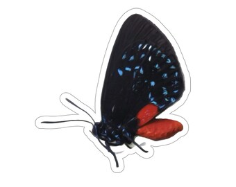 Tasmanian Devil and Echidna Kiss-cut Stickers - Etsy