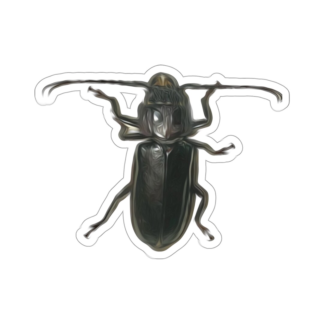 Hardwood Stump Borer Kiss-cut Stickers - Etsy