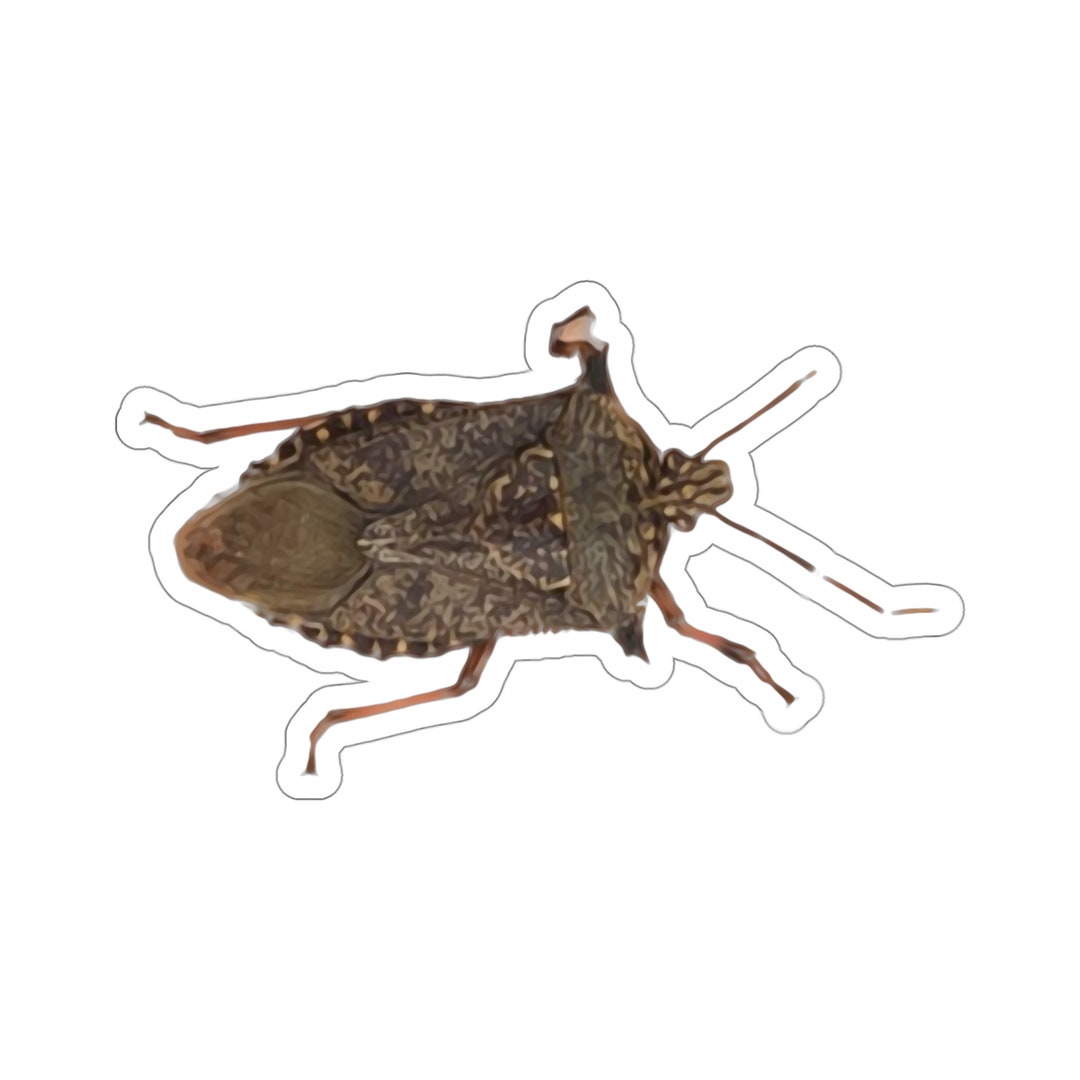 Giant Strong-nosed Stink Bug Kiss-cut Stickers - Etsy UK
