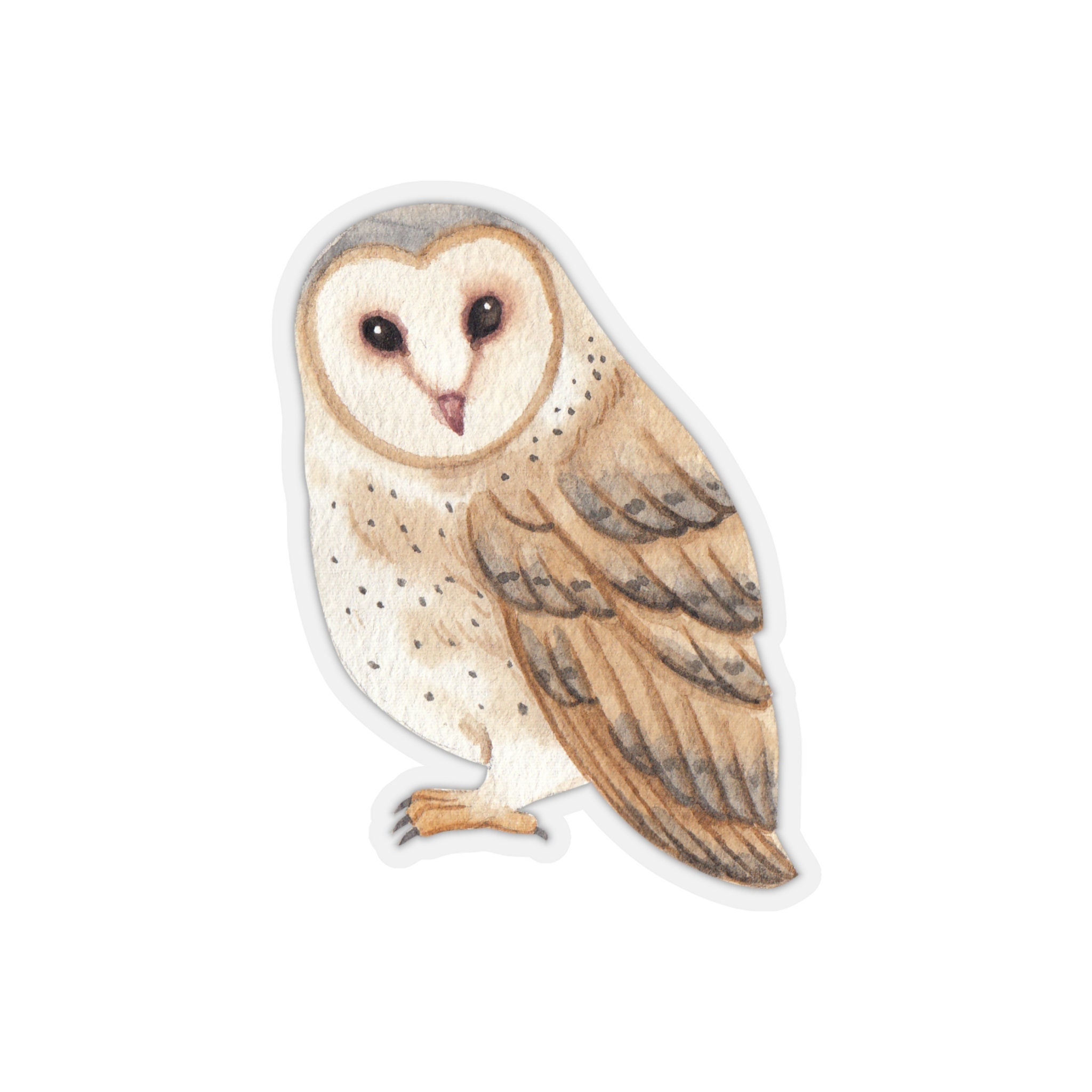 Barn Owl Kiss-cut Stickers - Etsy