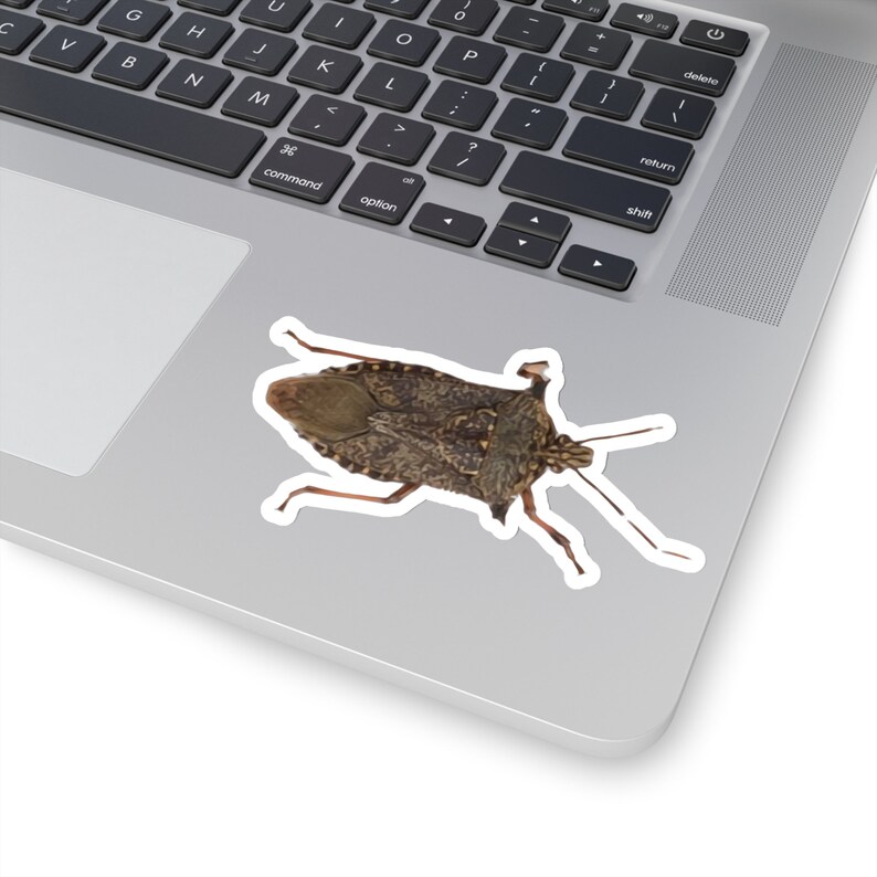 Giant Strong-nosed Stink Bug Kiss-cut Stickers - Etsy