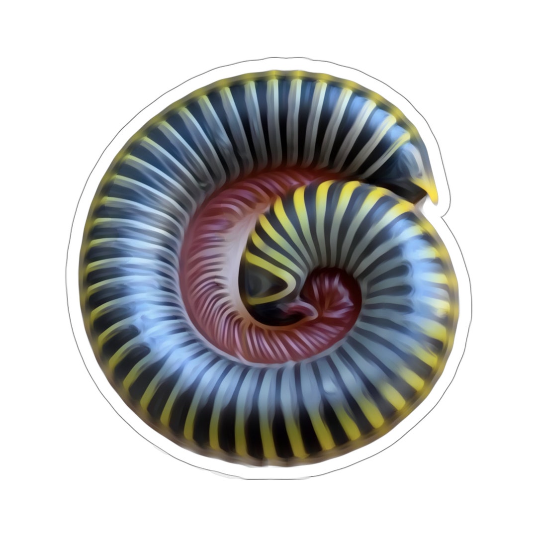 Bumblebee Millipede Kiss-cut Stickers - Etsy