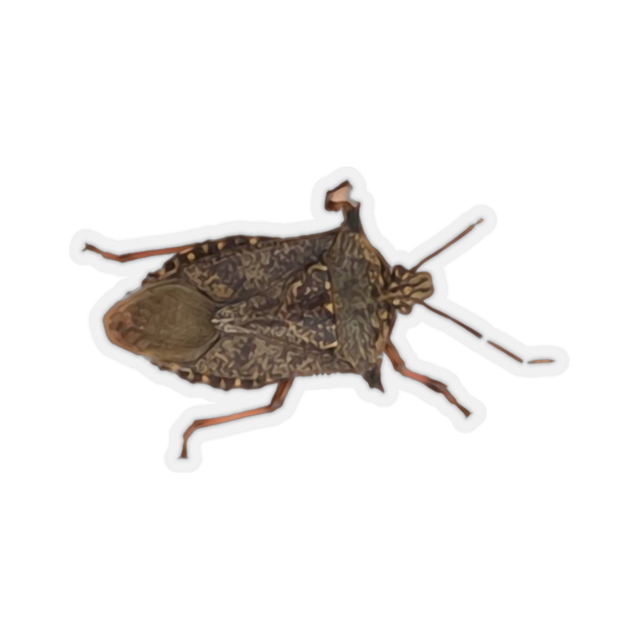 Giant Strong-nosed Stink Bug Kiss-cut Stickers - Etsy