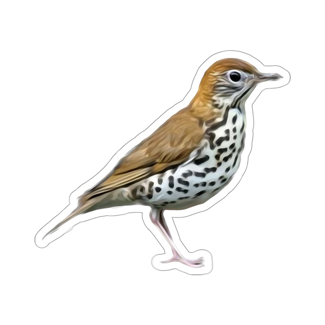 Wood Thrush Kiss-cut Stickers - Etsy