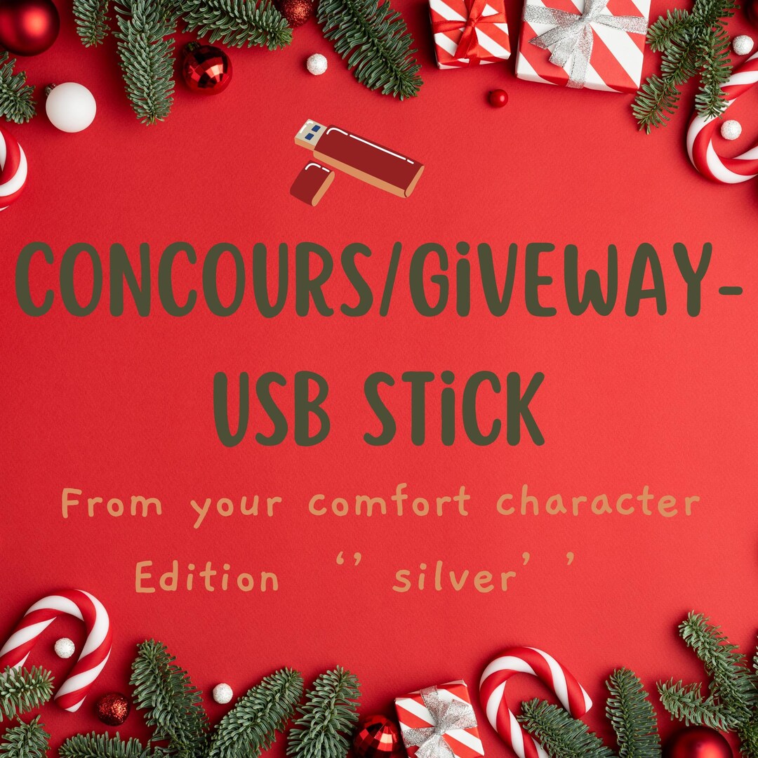 Giveaway Prize Draw USB Key of Your Comfort Character - Etsy