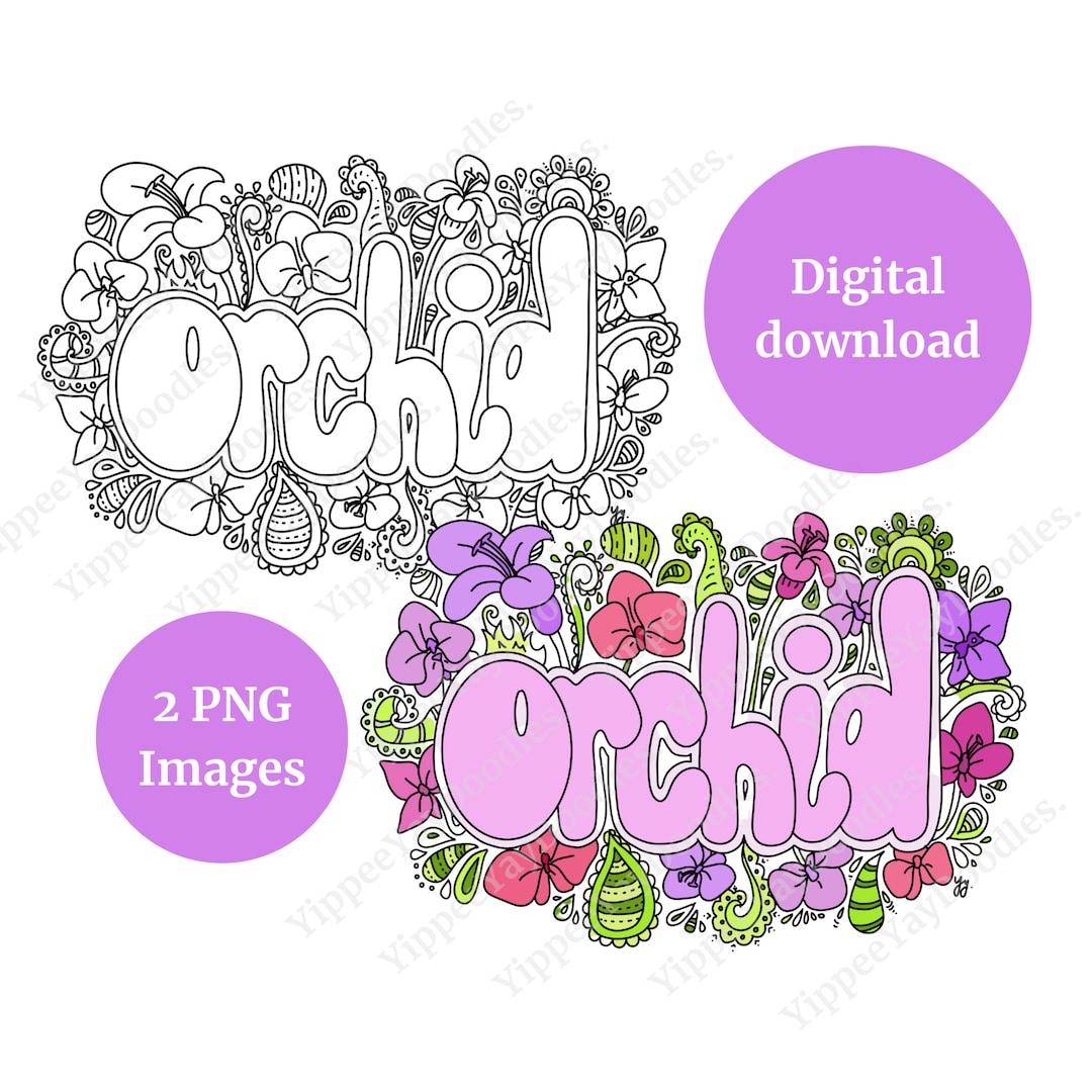 Orchid Doodle Bundle: 2 PNG Instant Digital Downloads (1 Pink/green, 1 ...