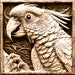 3D Bird Laser Engrave File: Cockatoo, Parrot, Hummingbird (PNG, SVG) - Etsy