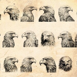 Eagle Laser Engrave PNG Bundle: 100 Designs (digital Design File) - Etsy