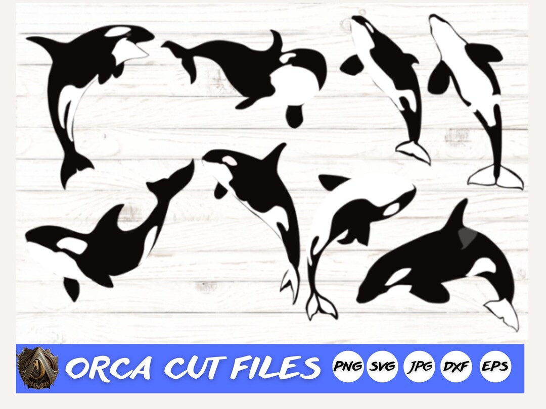 Orca Cut Files - SVG, PNG, JPG - Commercial Use, Killer Whales Clipart ...