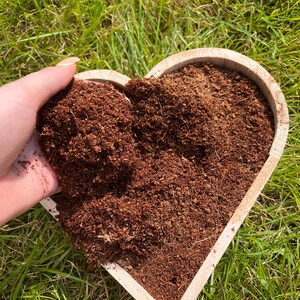 Coco Soil, Hamster Enrichment, Hamster Substrates, Hamster Boredom ...