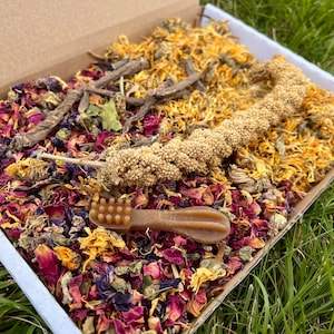 Mixed Flower Forage Box, Hamster Treat, Boredom Breaker, Hamster Treats ...