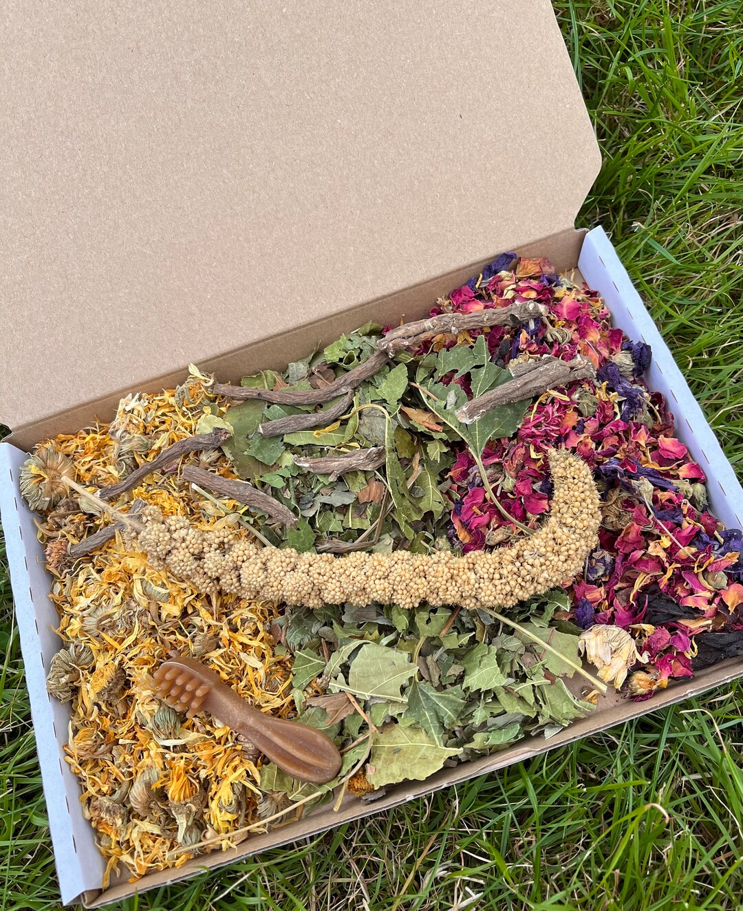 Hamster Forage Box, Hamster Forage, Enrichment, Hamster Enrichment ...