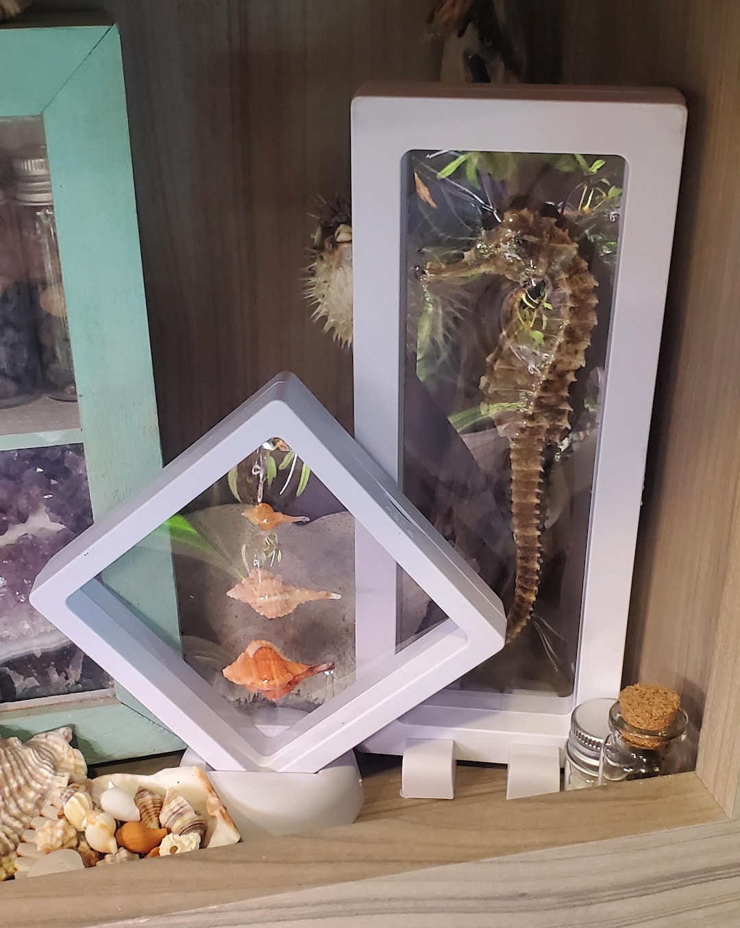 3D Floating Frames ( Your Choice ) - Etsy