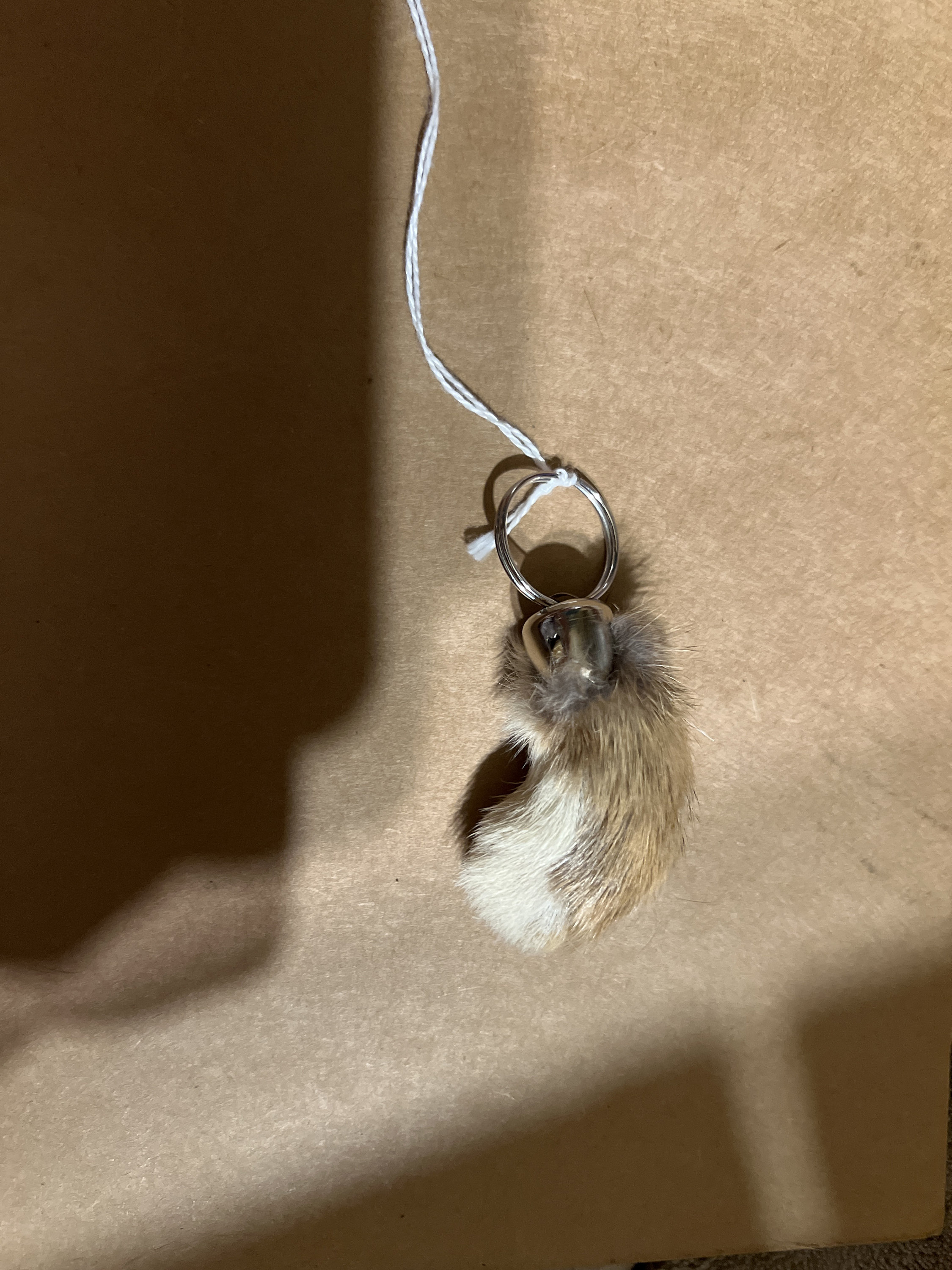 Genuine Rabbit Foot - Etsy