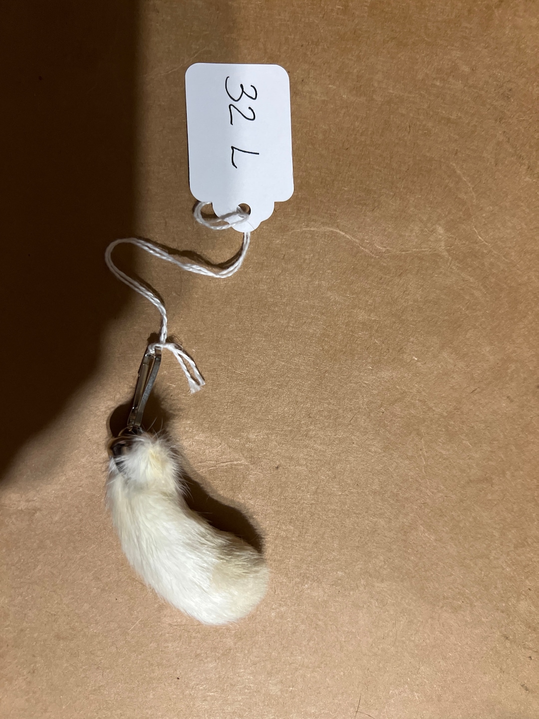 Genuine Rabbit Foot - Etsy