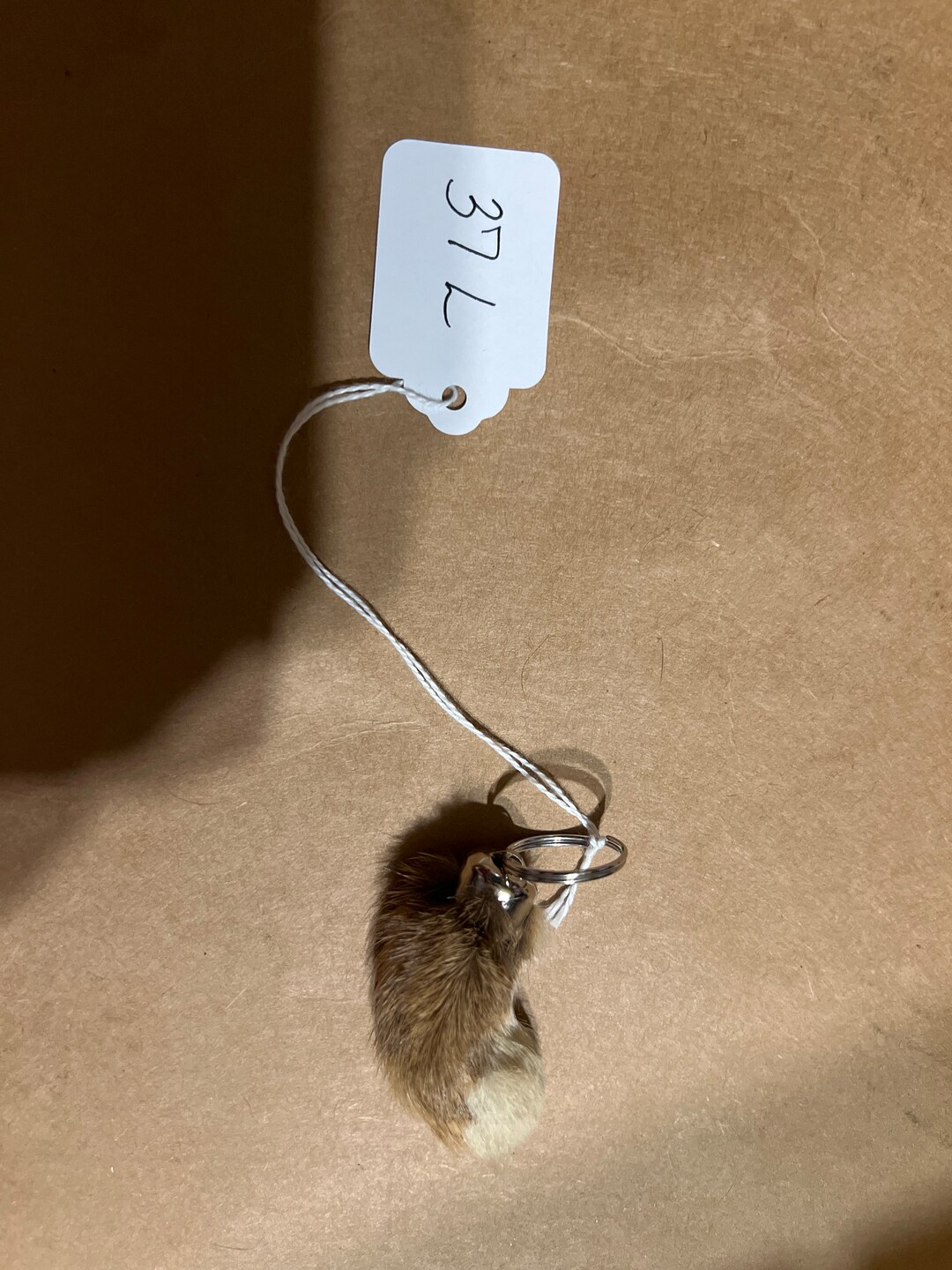 Genuine Rabbit Foot - Etsy