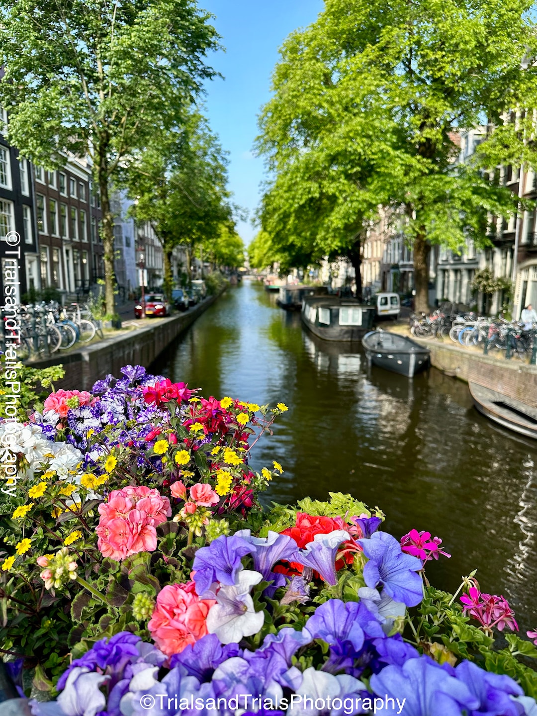 Flowers Blooming in Amsterdam Netherlands. Amsterdam Canal Photography ...