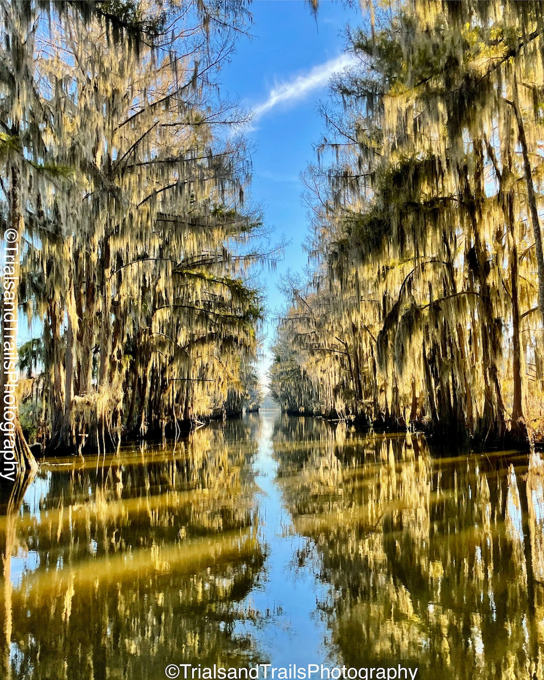 Sunsets on the Swamp. Reflection of Swamp in Texas/louisiana Lake. Lake ...