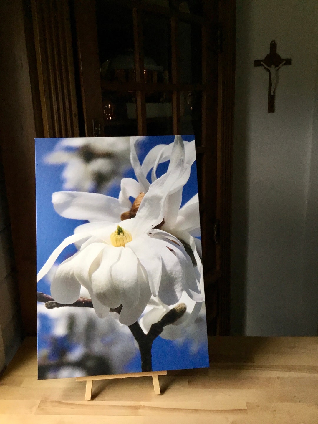 Flower Photography, Canvas Wall Art, Rachelle Renee Photography on ...