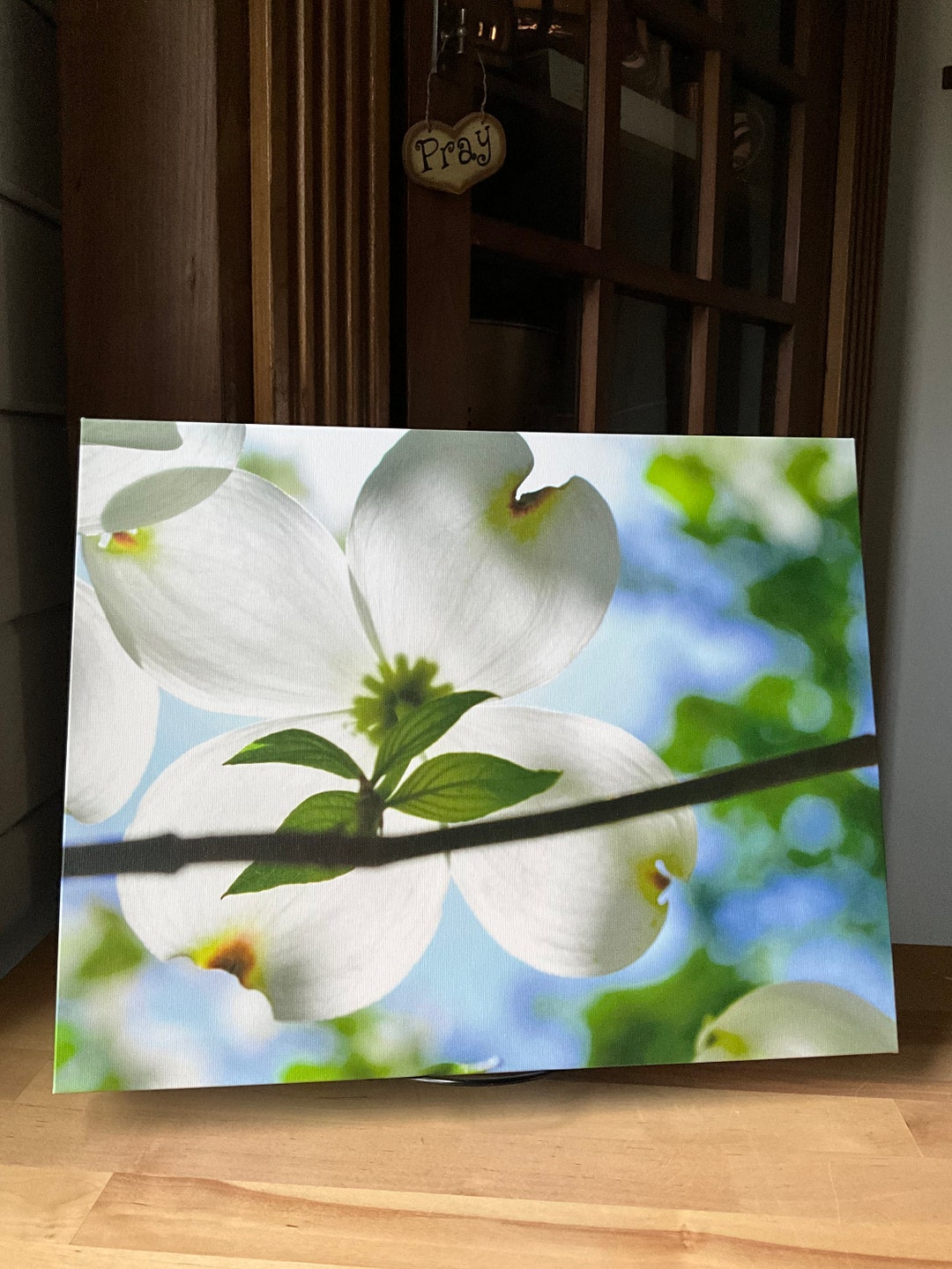 Spring Canvas Art, Floral Photography, Dogwood From “the Kinder Garden ...