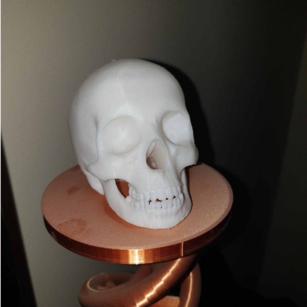 Realistic Skull Replica - Etsy