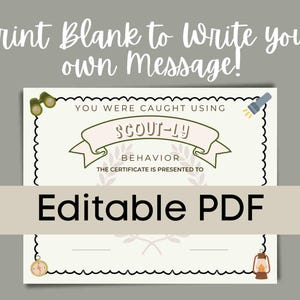 Editable PDF Scout Behavior Certificate Template for Kids in Scouts ...