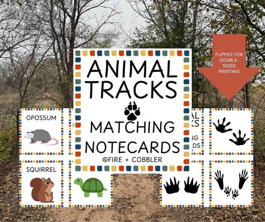 Printable Animal Tracks Matching Game: Nature Activity for Kids (PDF ...
