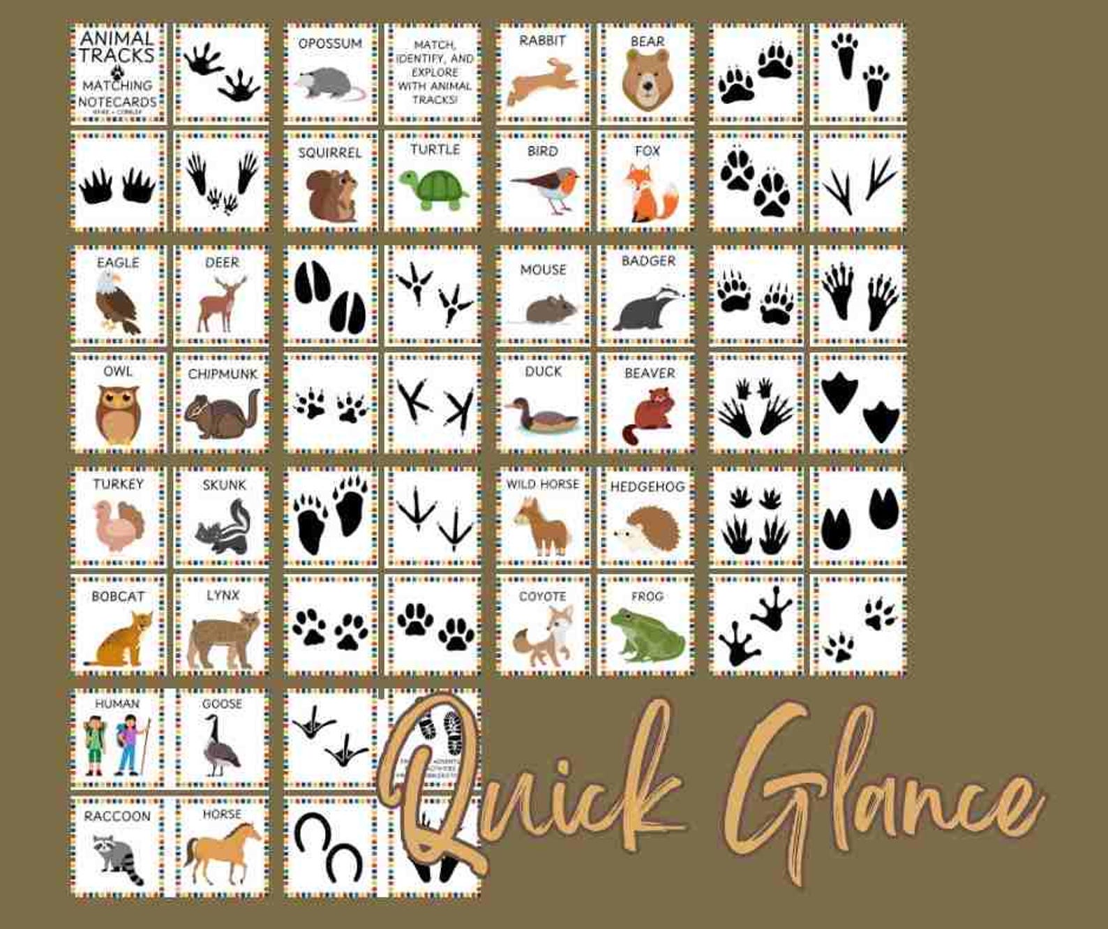 Animal Tracks Identification Printable Cards | Nature Study Activity ...