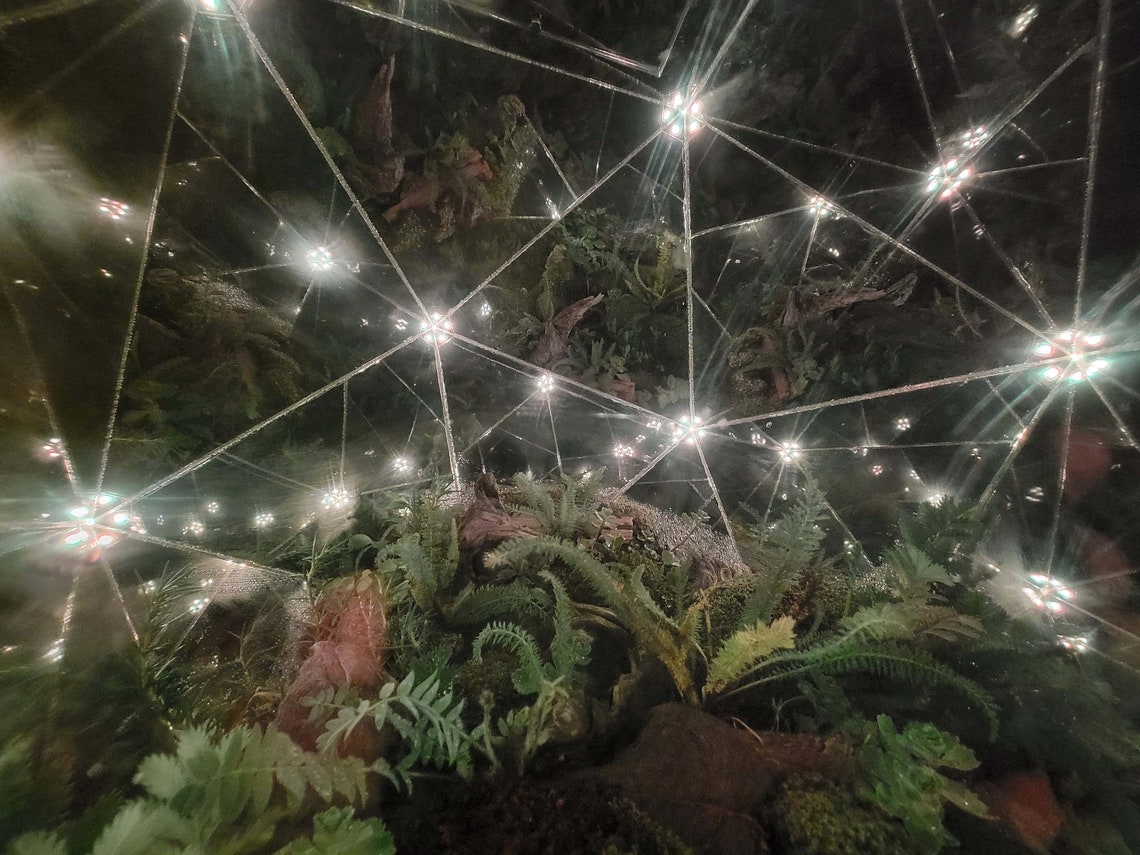 Infinite Terrarium - DIGITAL FILE - 3D Print and Laser Cut Files - Etsy