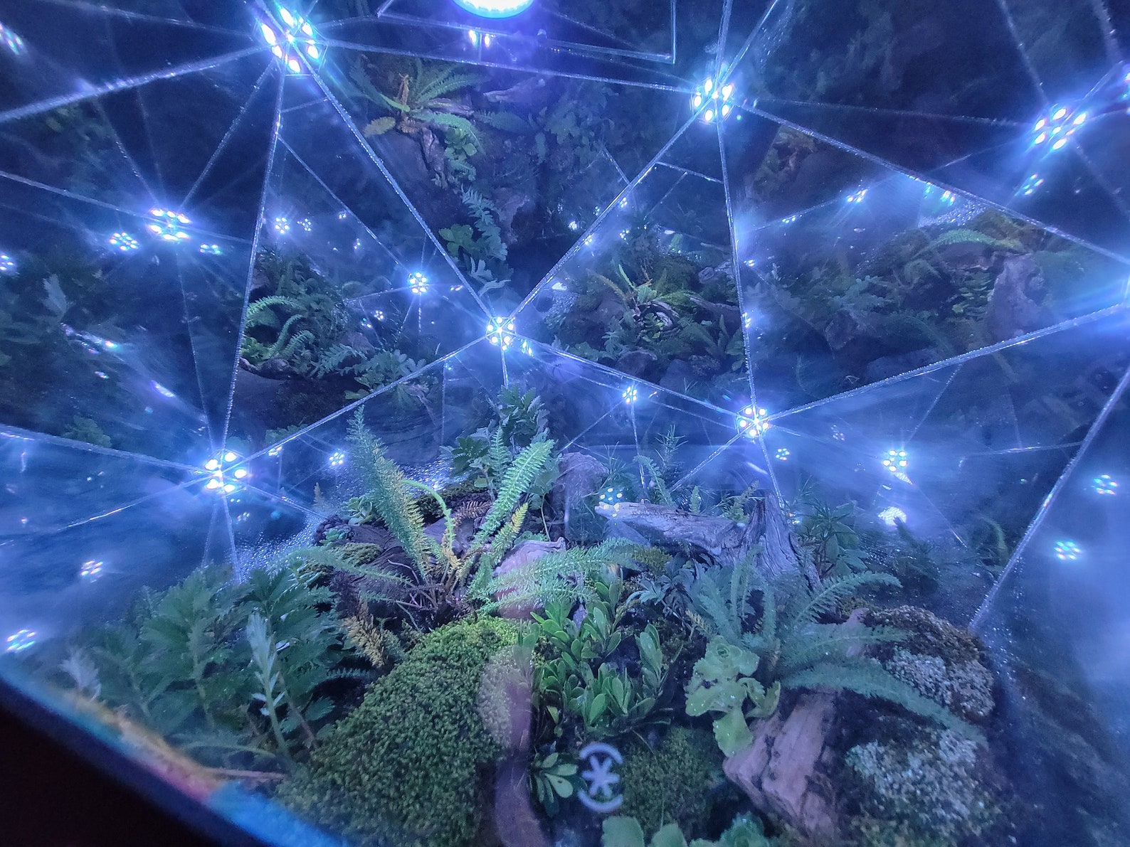 Infinite Terrarium - DIGITAL FILE - 3D Print and Laser Cut Files - Etsy