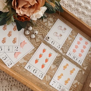 Summer Count and Clip Activity, Count and Clip Cards 1-10, Montessori ...