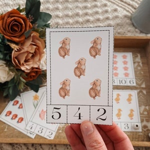 Summer Count and Clip Activity, Count and Clip Cards 1-10, Montessori ...