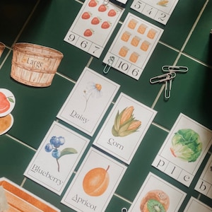 Farmers Market Educational Bundle, Farmers Market Dramatic Play ...