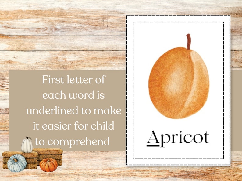 Farmer's Market Themed Flashcards, Watercolor Alphabet Cards, ABC ...