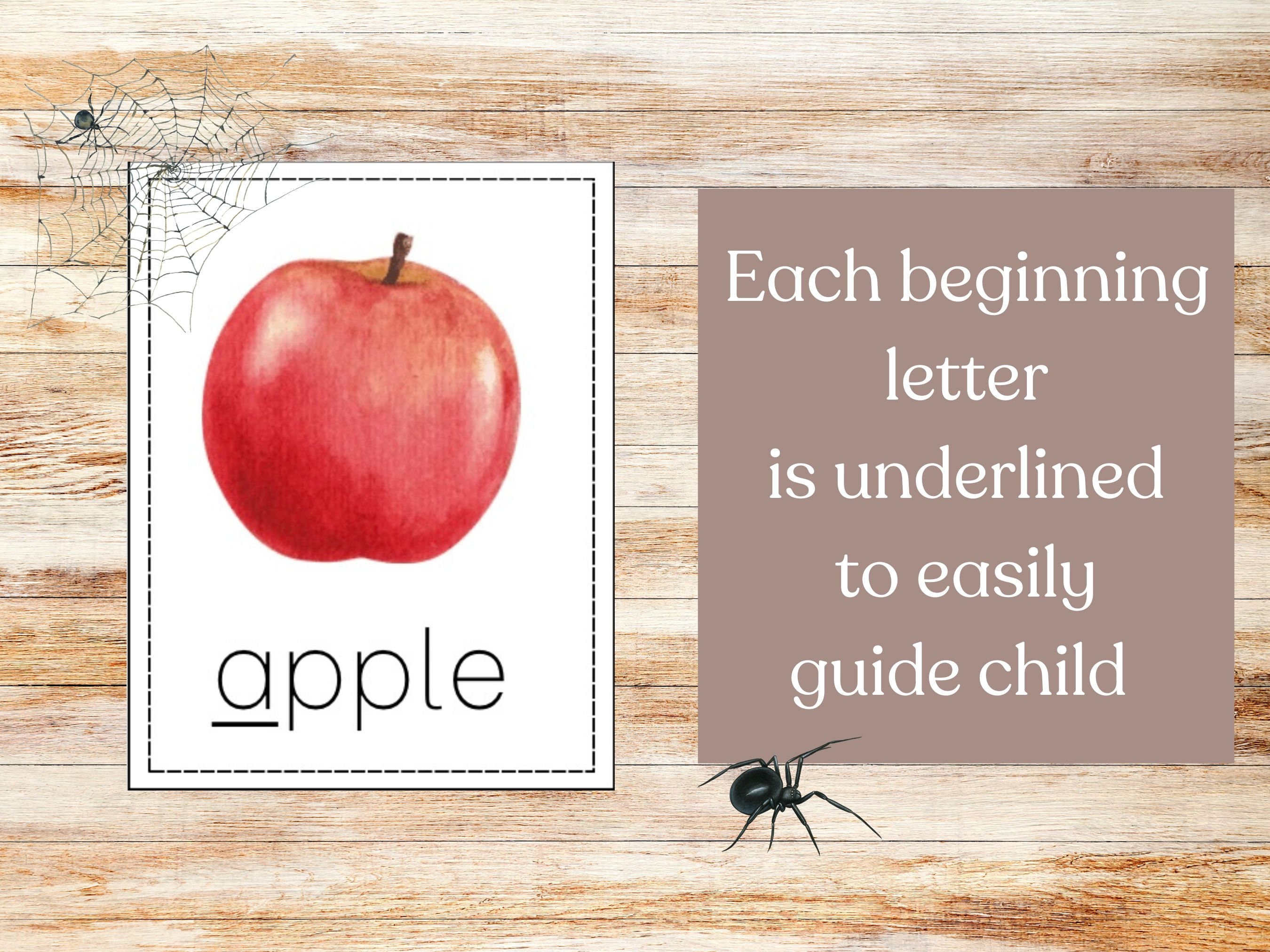 Halloween Themed ABC Flashcards for Kids, Alphabet Flashcards ...