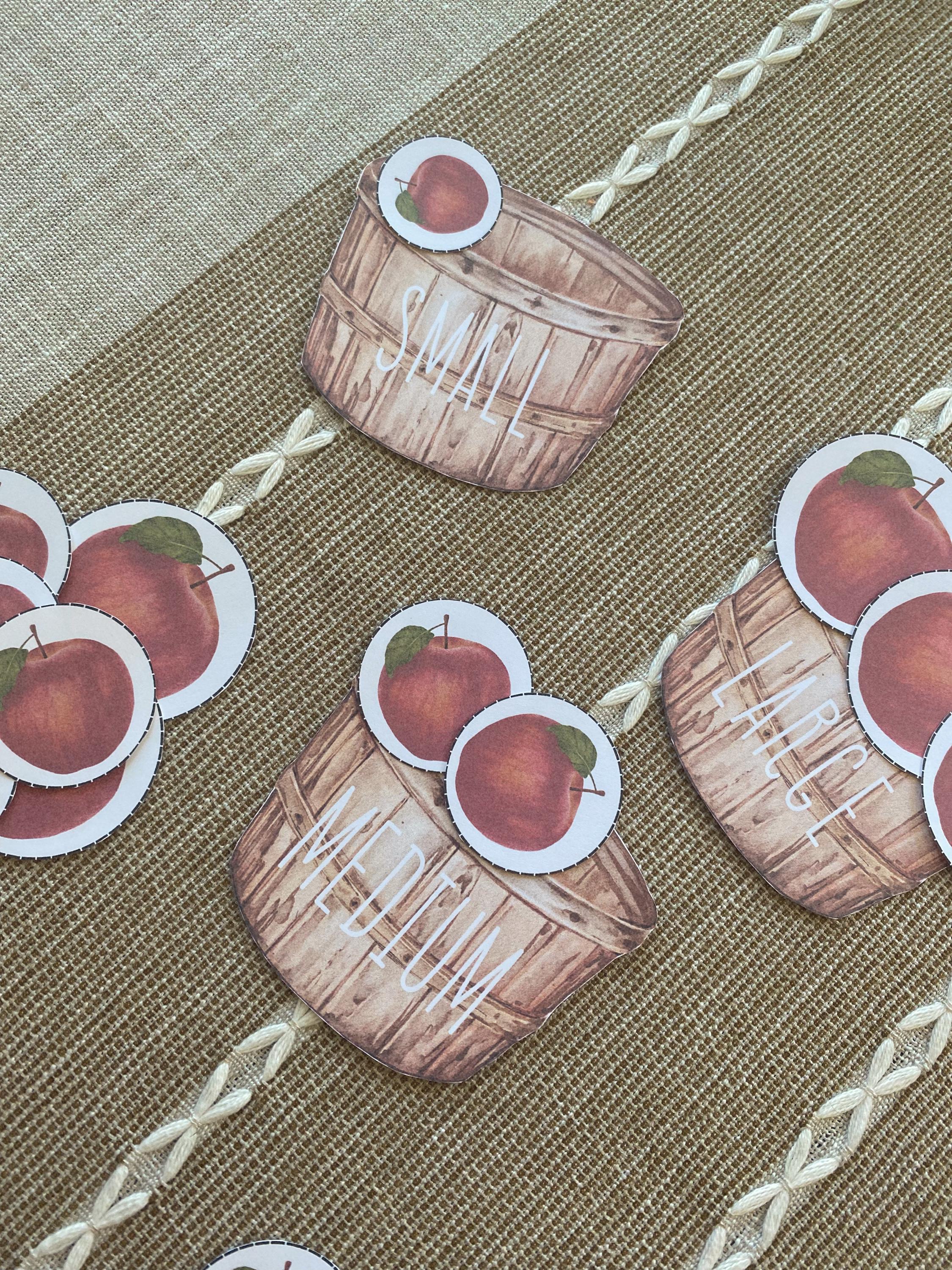 Apple Size Sorting Activity for Kids, Size Matching Activity, Smallest ...