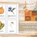 Farmer's Market Themed Flashcards, Watercolor Alphabet Cards, ABC ...