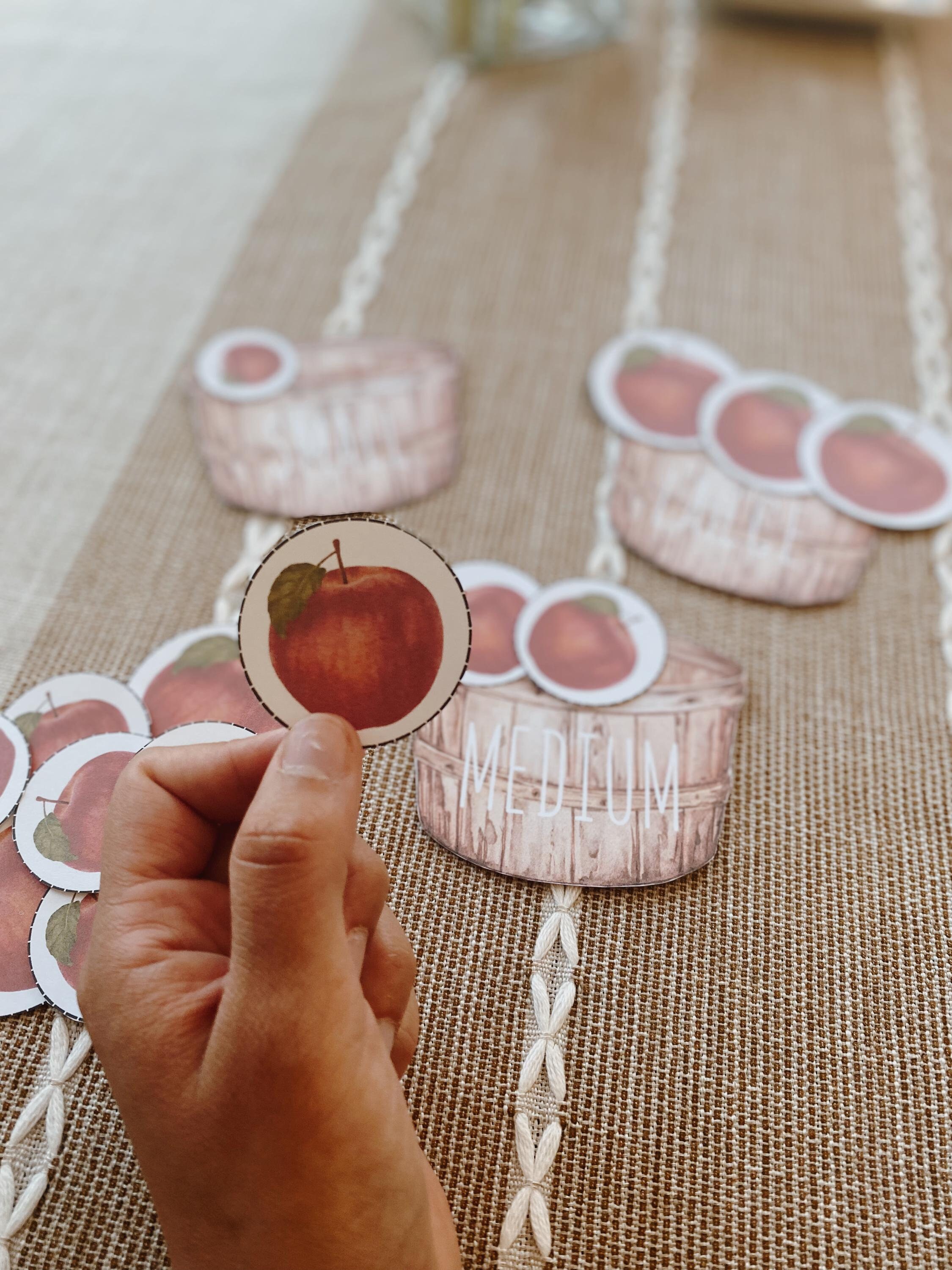 Apple Size Sorting Activity for Kids, Size Matching Activity, Smallest ...