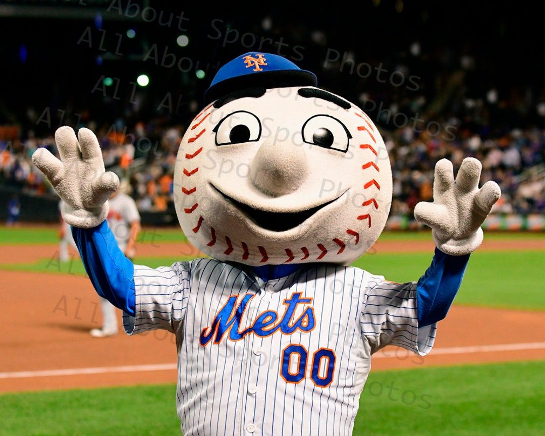 NY Mets Mascot Mr. Met - Etsy