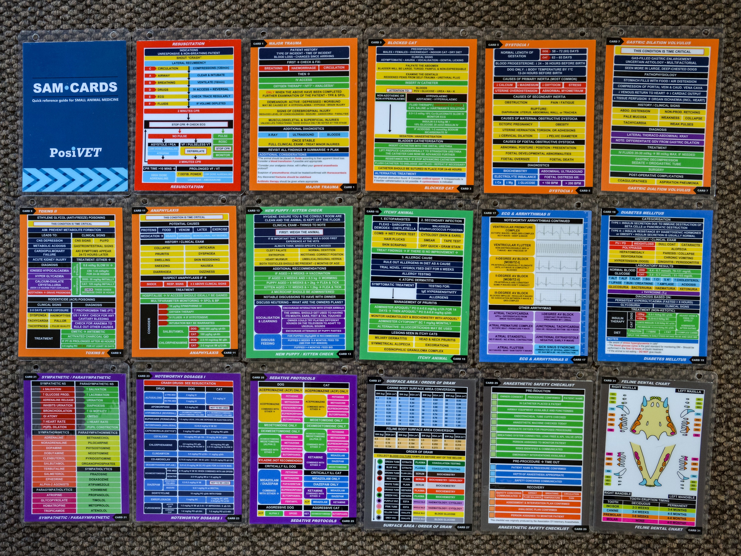 SAM Cards | Quick Reference Guide for Small Animal Medicine [PHYSICAL ...