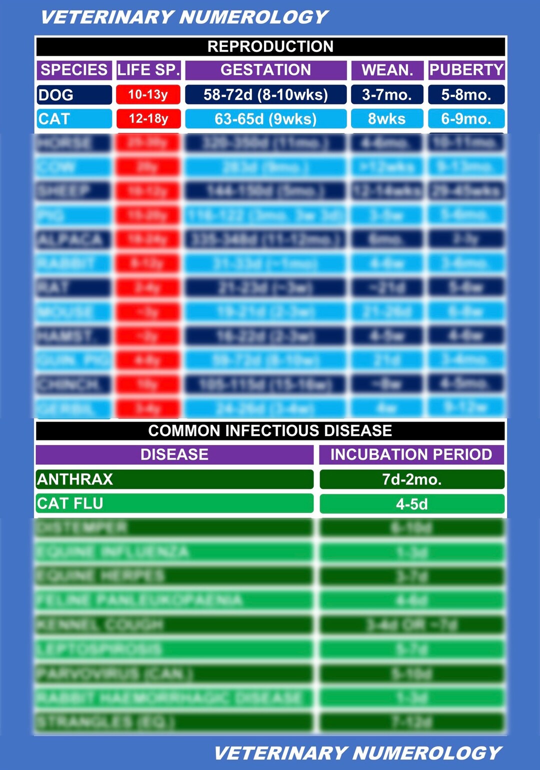 Veterinary Numerology | Important Timings Used in Mixed Veterinary ...
