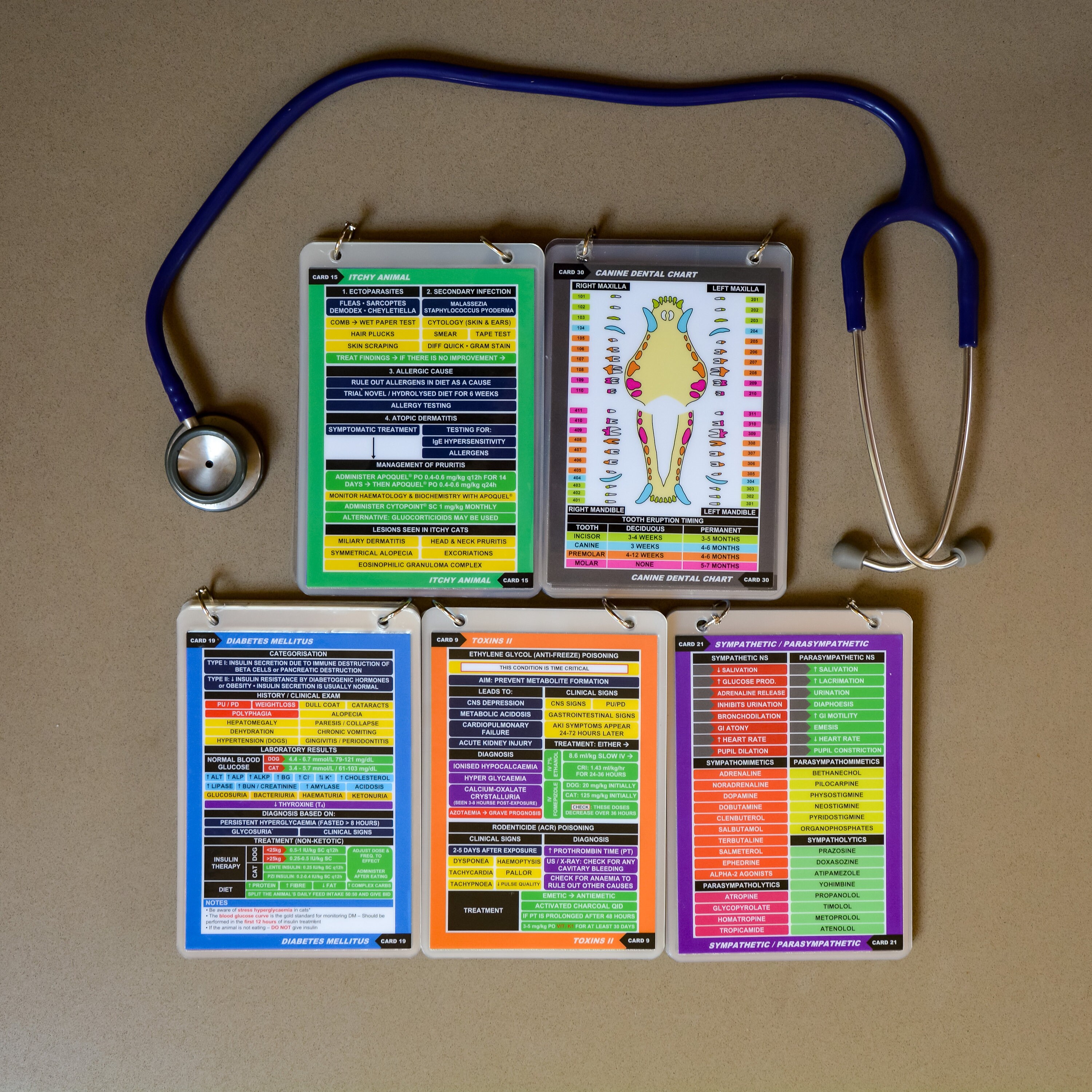 SAM Cards | Quick Reference Guide for Small Animal Medicine [PHYSICAL ...
