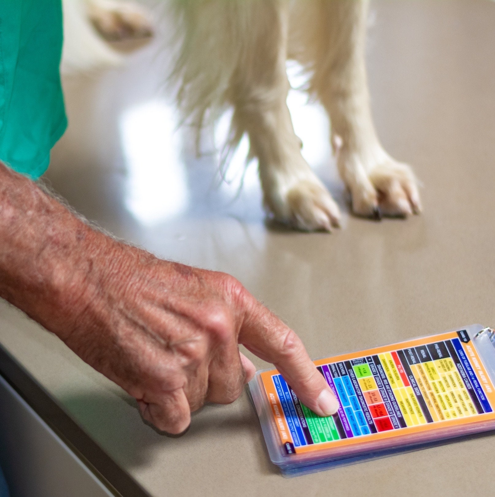 SAM Cards Quick Reference Guide for Small Animal Medicine PHYSICAL ...