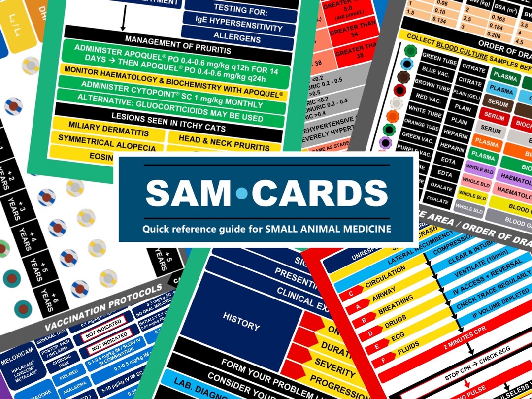 SAM Cards | Quick Reference Guide for Small Animal Medicine [INSTANT ...