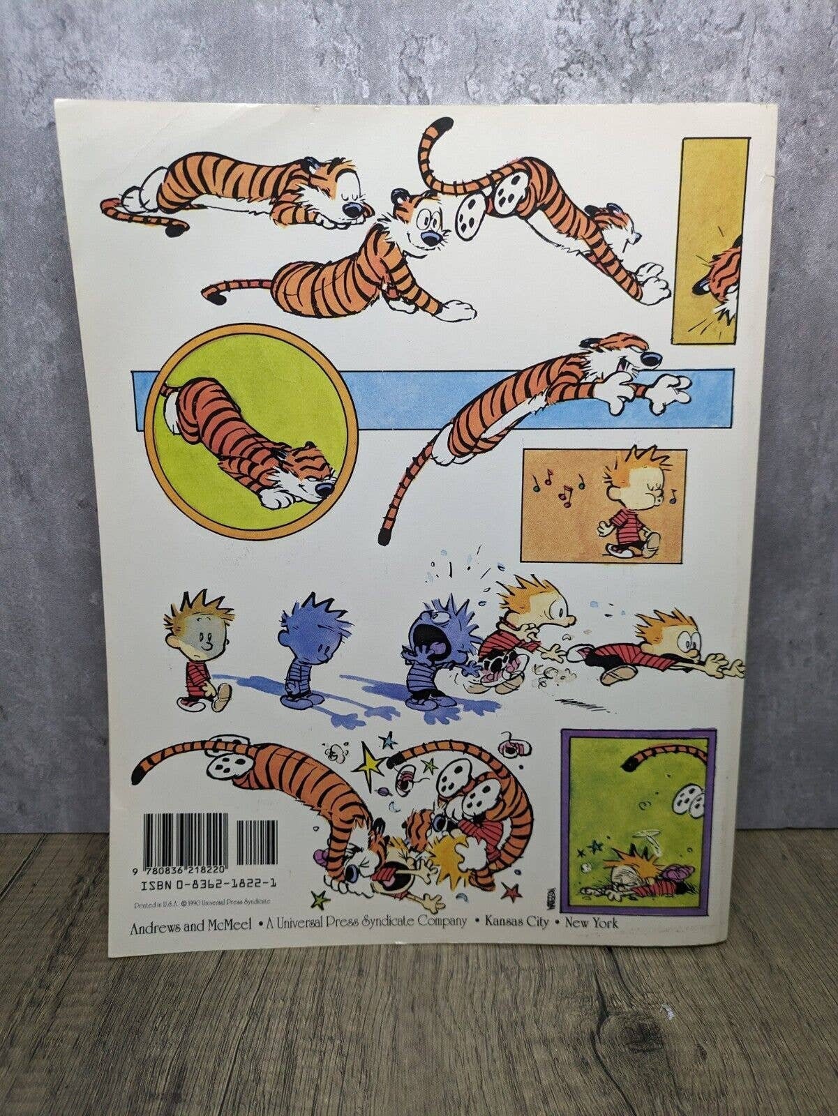 The Authoritative Calvin and Hobbes: A Calvin and Hobbes Treasury ...