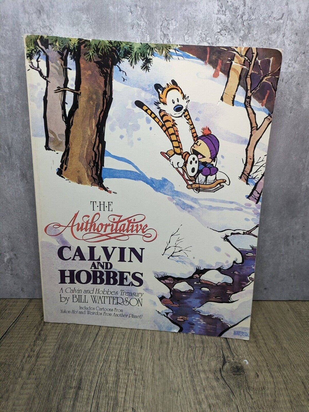 The Authoritative Calvin and Hobbes: A Calvin and Hobbes Treasury ...