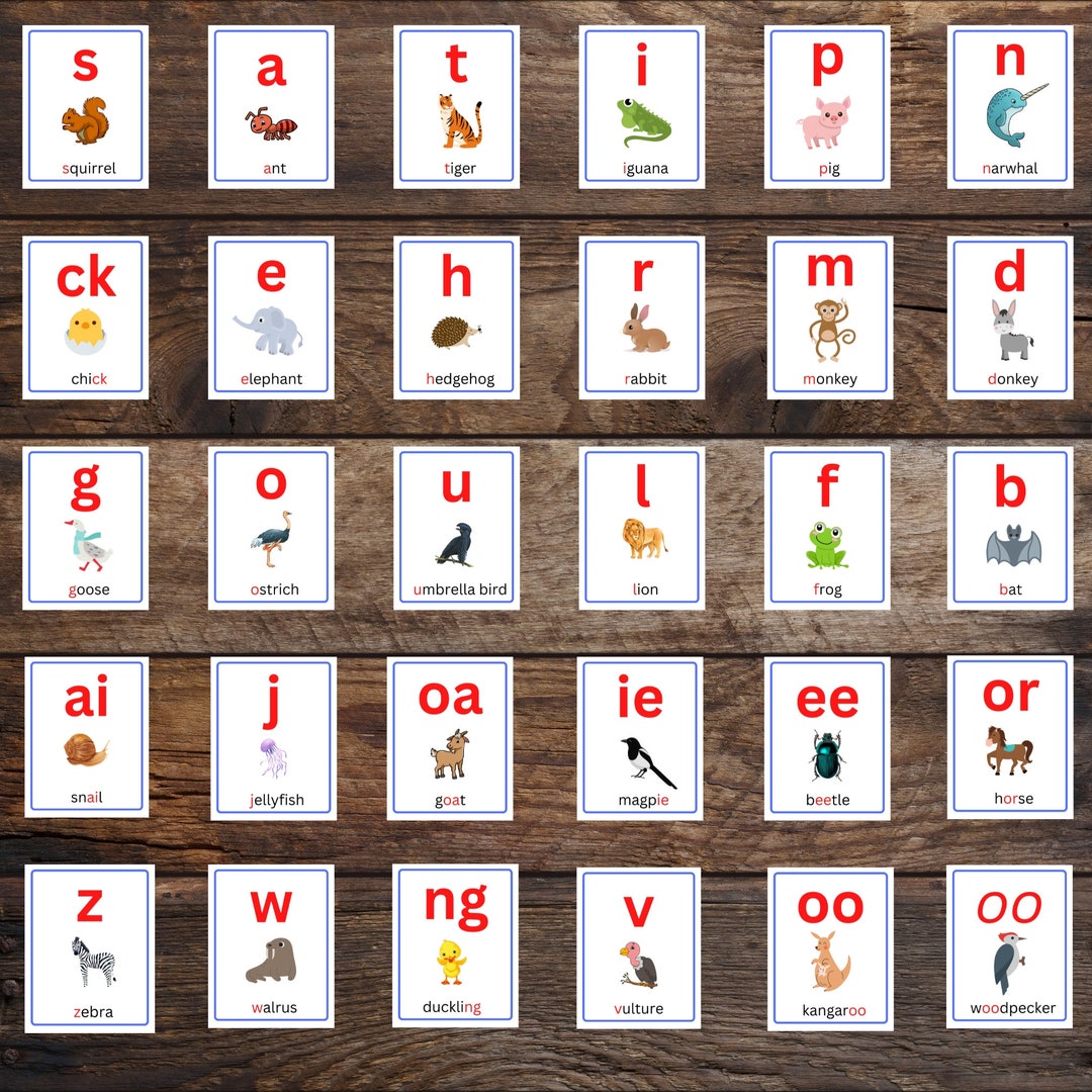 A Full Set of 42 Animal Phonics Sounds Including Recommended Teaching ...