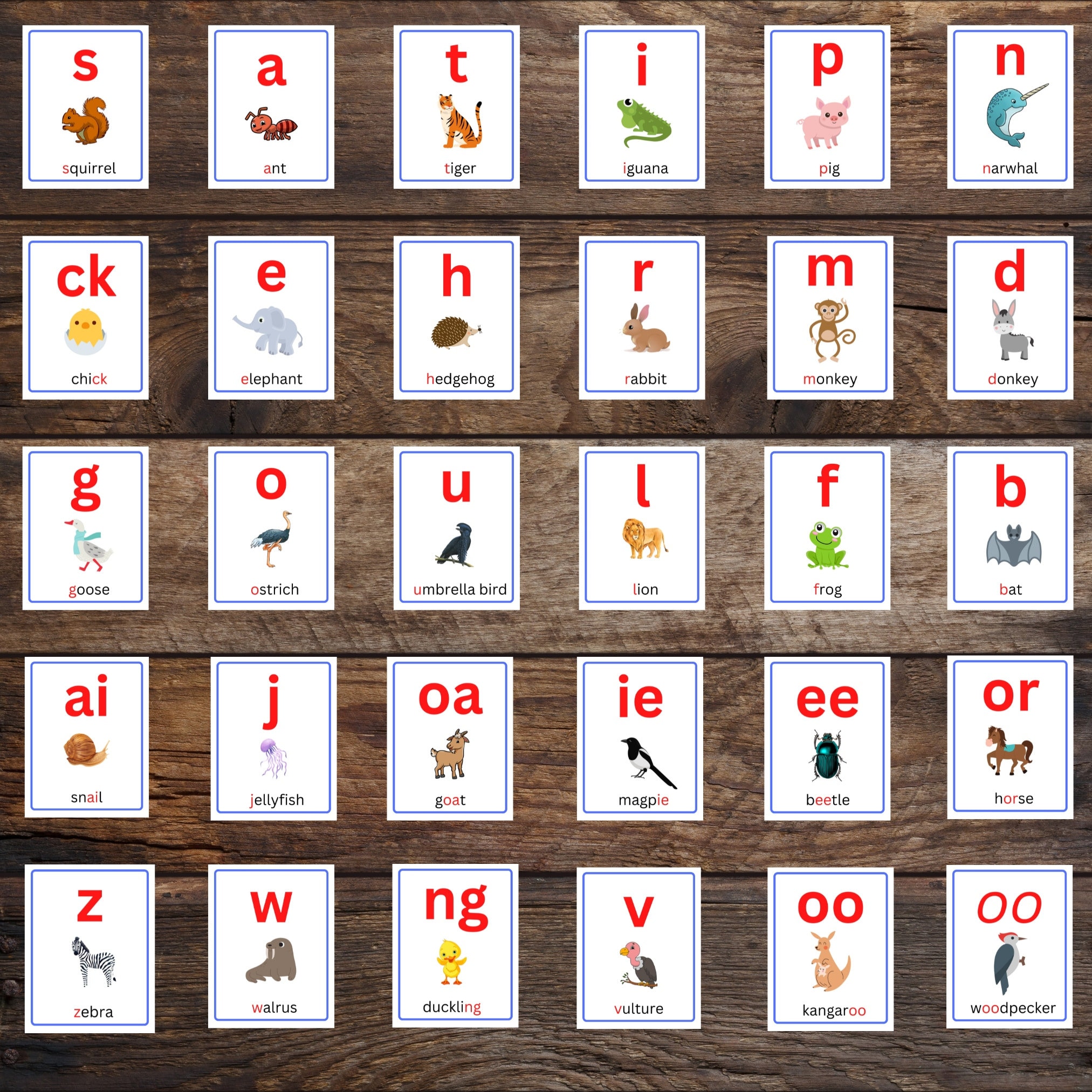 A Full Set of 42 Animal Phonics Sounds Including Recommended Teaching ...