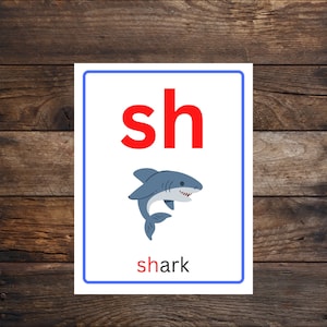 A Full Set of 42 Animal Phonics Sounds Including Recommended Teaching ...