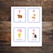 A Full Set of 42 Animal Phonics Sounds Including Recommended Teaching ...